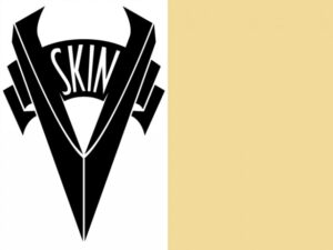 The VSKIN image – OGG Design